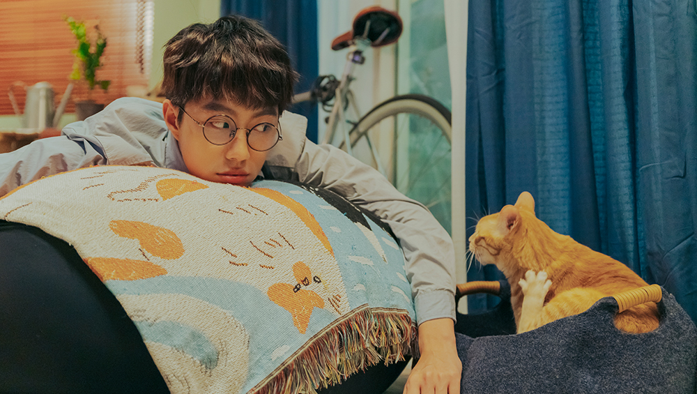 Fluffy Love – Taiwan Pavilion Presented by TAICCA