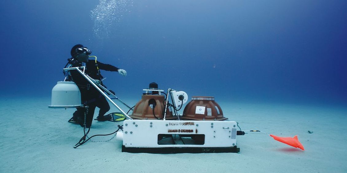 Signal from the Deep Sea – Taiwan Pavilion Presented by TAICCA
