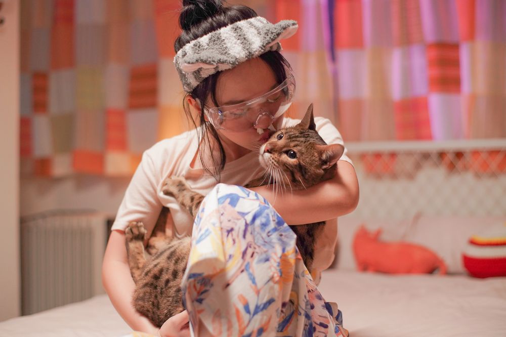 Meow Meow Boss – Taiwan Pavilion Presented by TAICCA